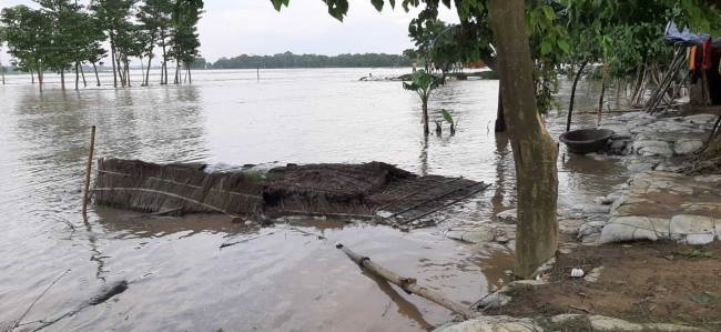 शिवहर में सैलाब का सितम, दर्जनों गांवों में घुसा बाढ़ का पानी - Flood in Sheohar, flood water ...