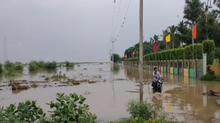 इनसे भी रहिए बचकर, गंगा-यमुना में बहकर आए सांप-बिच्छू, अजगर और बड़े ...