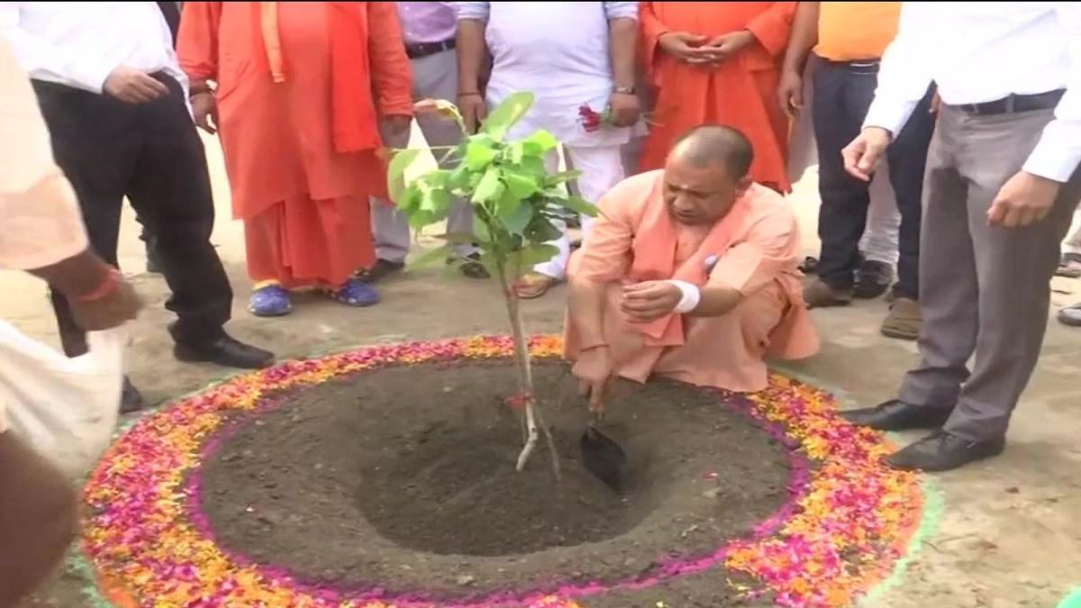Plantation In UP: प्रदेश में पौधारोपण से वर्ष 2030 में हो सकेगा 1370 ...