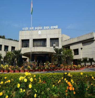 भारतीय सब्जी अनुसंधान संस्थान ने 29 साल में विकसित कर दीं सब्जी की 104 ...