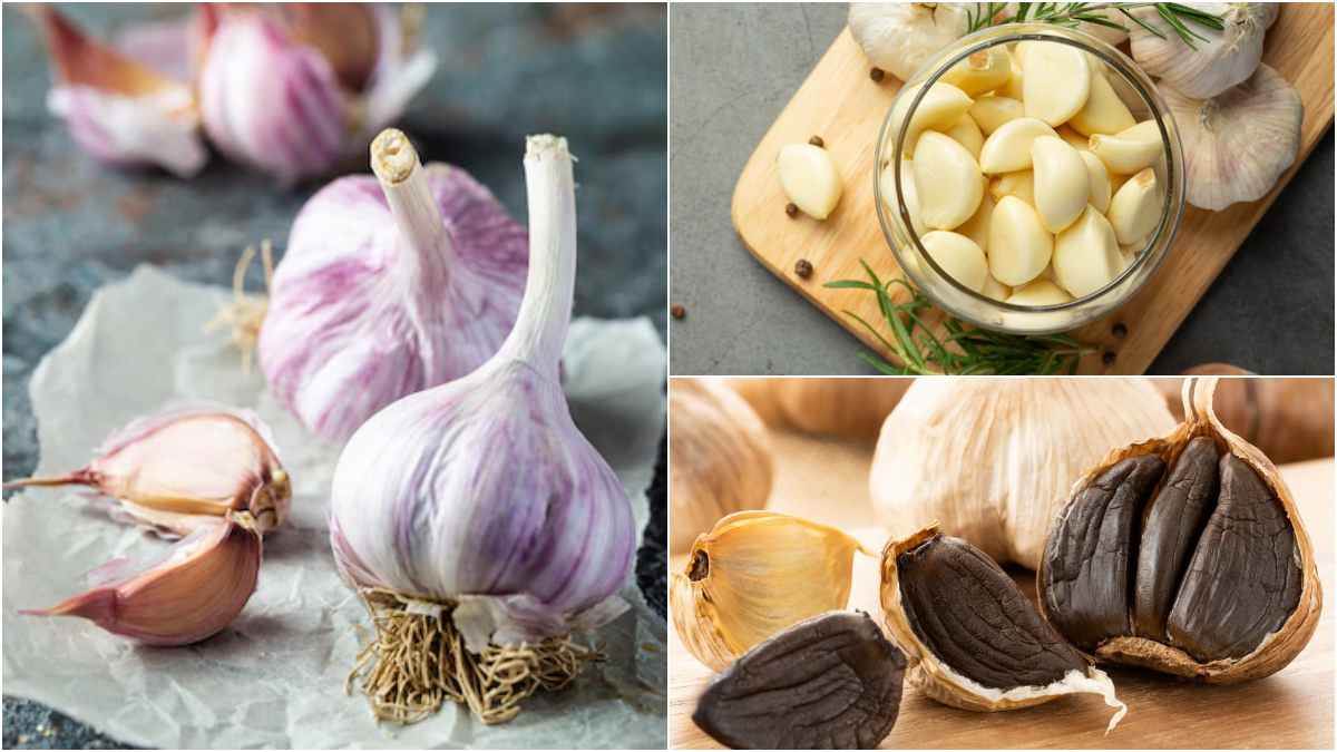 Garlic Types: 4 तरह की होती है लहसुन, जानें खाना पकाने के लिए कौन सी है ...