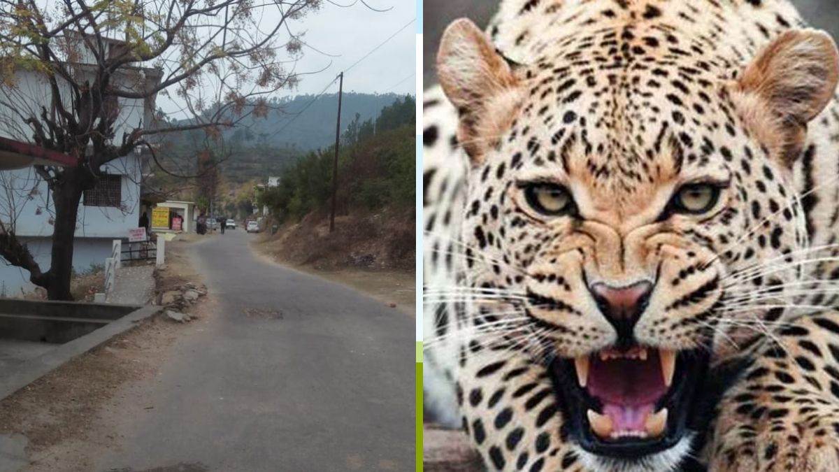 Guldar Terror : गुलदार की दहशत से काकड़ीघाट बाजार में पसरा सन्नाटा ...