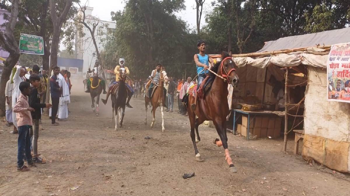 Sonpur Mela 2023: विश्व प्रसिद्ध हरिहर क्षेत्र मेले में दो फीट के 'बादल ...