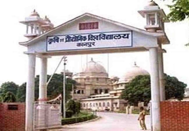 सीएसए विवि ने विकसित की दलहन व तिलहन की पांच नई प्रजातियां - CSA ...