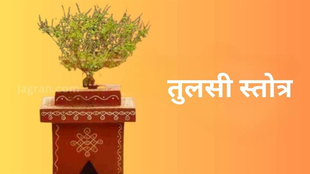 Tulsi Stotra: गुरुवार को पूजा के समय करें इस प्रभावशाली स्तोत्र का पाठ ...