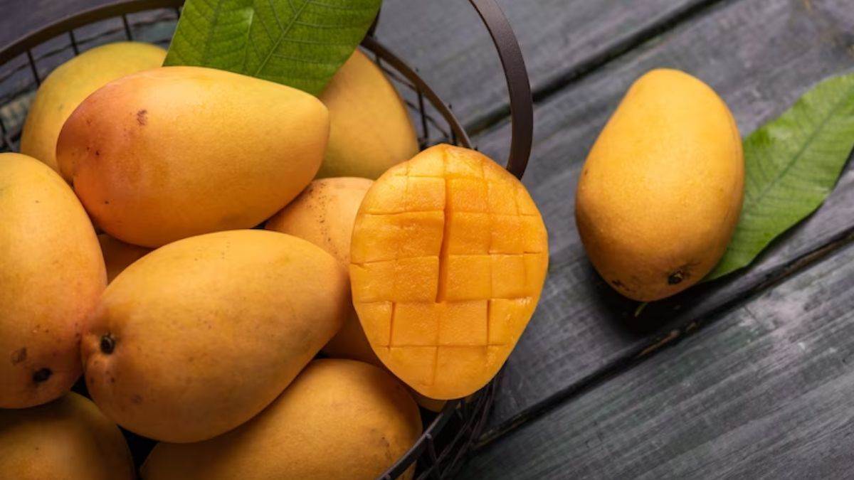 Health Benefits Of Mango: दिल की सेहत से लेकर पाचन तंत्र तक, गर्मियों ...