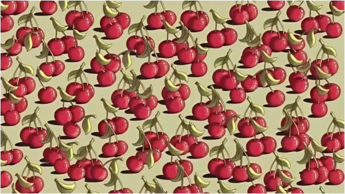 Optical Illusion Test: क्या चेरी के बीच छिपे टमाटर को सिर्फ 9 सेकंड में ...