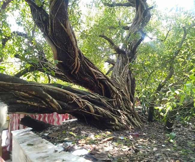 जानकी नवमी पर बिहार के सीतामढ़ी में आस्था की डुबकी लगाता है पर्यटन ...