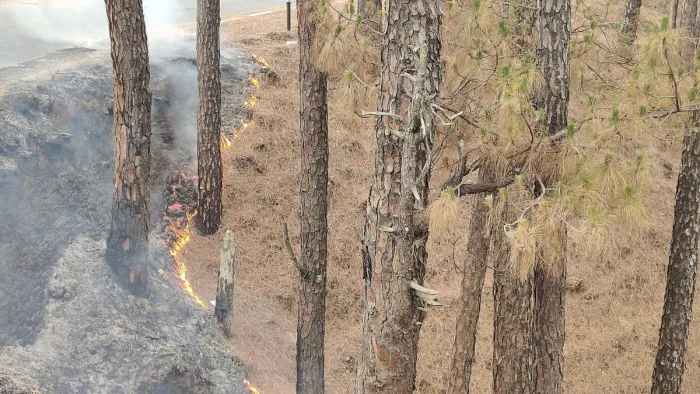 Uttarakhand Forest Fire: पकड़े गए प्रकृति के दुश्मन, उत्तराखंड के ...