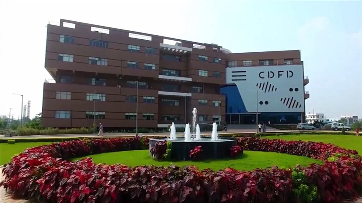 CDFD Recruitment 2022: डीएनए फिंगरप्रिंटिंग एवं निदान केंद्र में ...