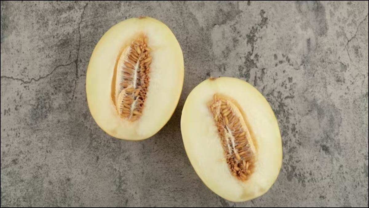 Muskmelon Seeds: सेहत के लिए गुणों का खजाना हैं खरबूजे के बीज, फेंकने ...