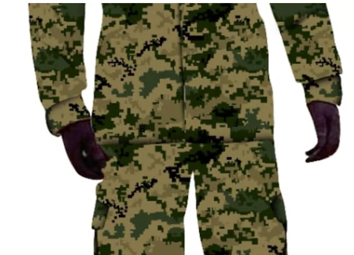 '45 फीसदी हरी, 50 प्रतिशत खाकी...', अब नए डिजिटल पैटर्न यूनिफॉर्म में ...