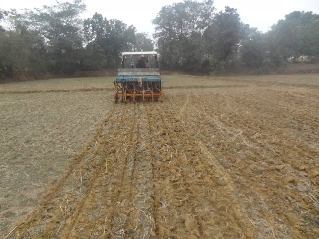 धान की रोपाई की जगह सीधी बुआई ज्यादा कारगर