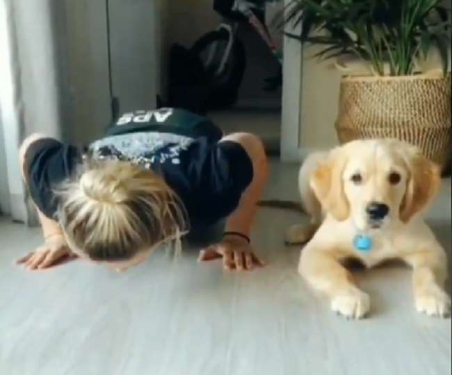 जब नन्हें डॉगी ने नकल कर की पुश-अप्स एक्सरसाइज, देखें-फिर क्या हुआ ...