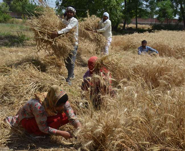 किसान महिलाओं को जैविक खेती सिखाने में आंध्रप्रदेश तेलंगाना से आया ...