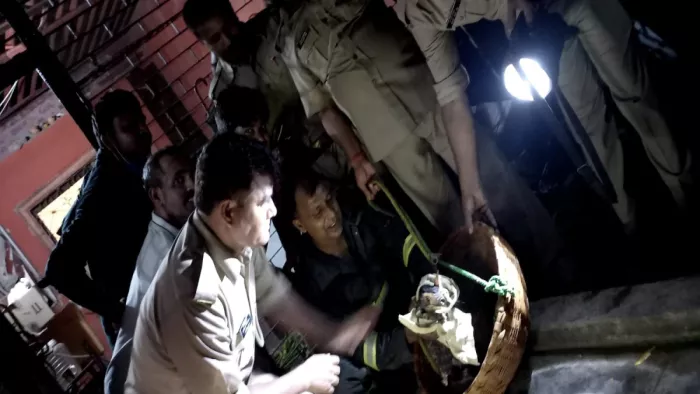 100 फीट गहरे कुएं में गिरा बिल्ली का बच्चा, फायर ब्रिगेड ने बचाया तो ...