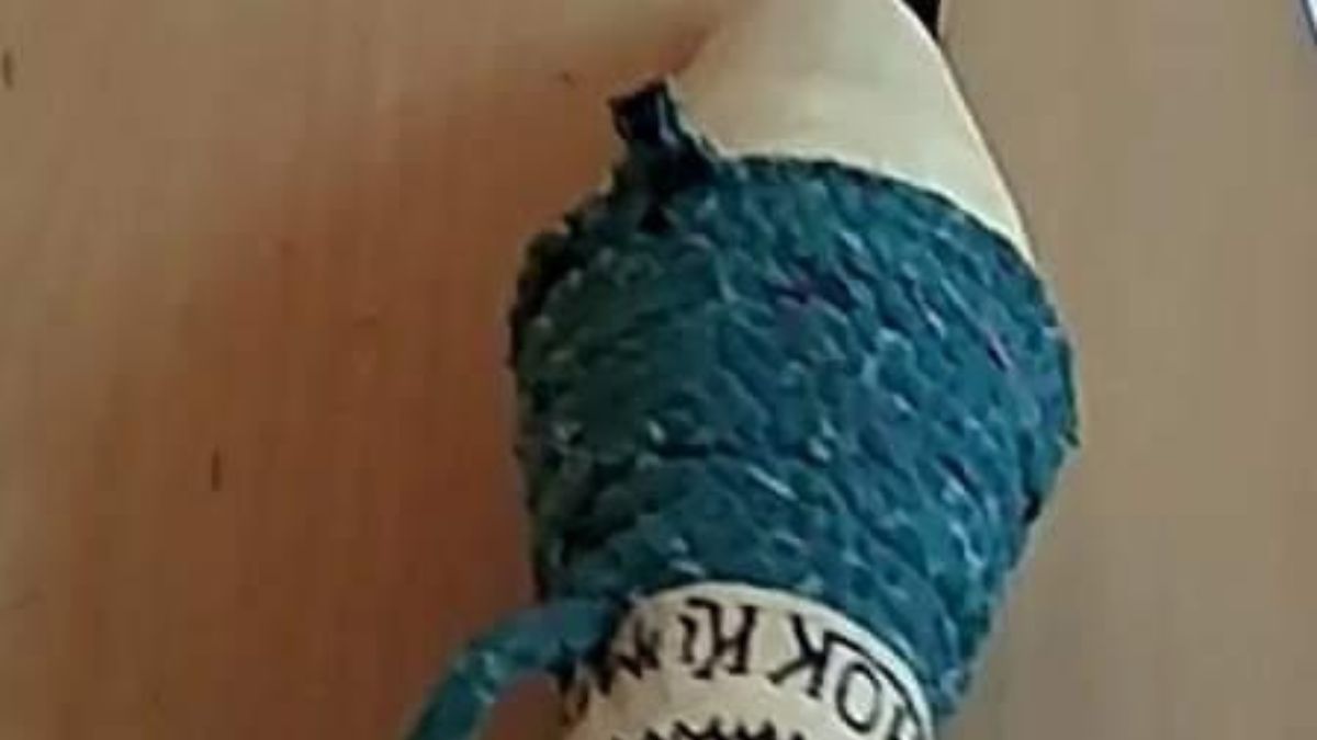 Tribal Game: बारिश के लिए यहां लोग खलते हैं सेकोर... जानिए, आदिवासियों ...