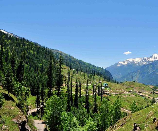 शिवालिक वन क्षेत्र आसपास के क्षेत्रों के लिए आक्सीजन हब: कमिश्नर संजय ...