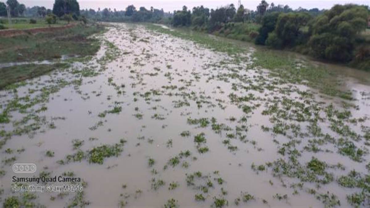 पुनपुन नदी में पानी आने से खिले अरवल के किसानों के चेहरे - The faces of ...