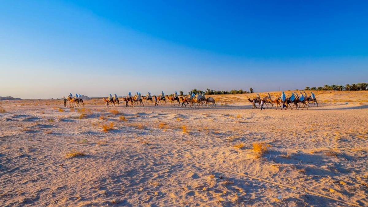 IRCTC Rann of Kutch Package: अभी से कर लें नवंबर, दिसंबर की प्लानिंग ...