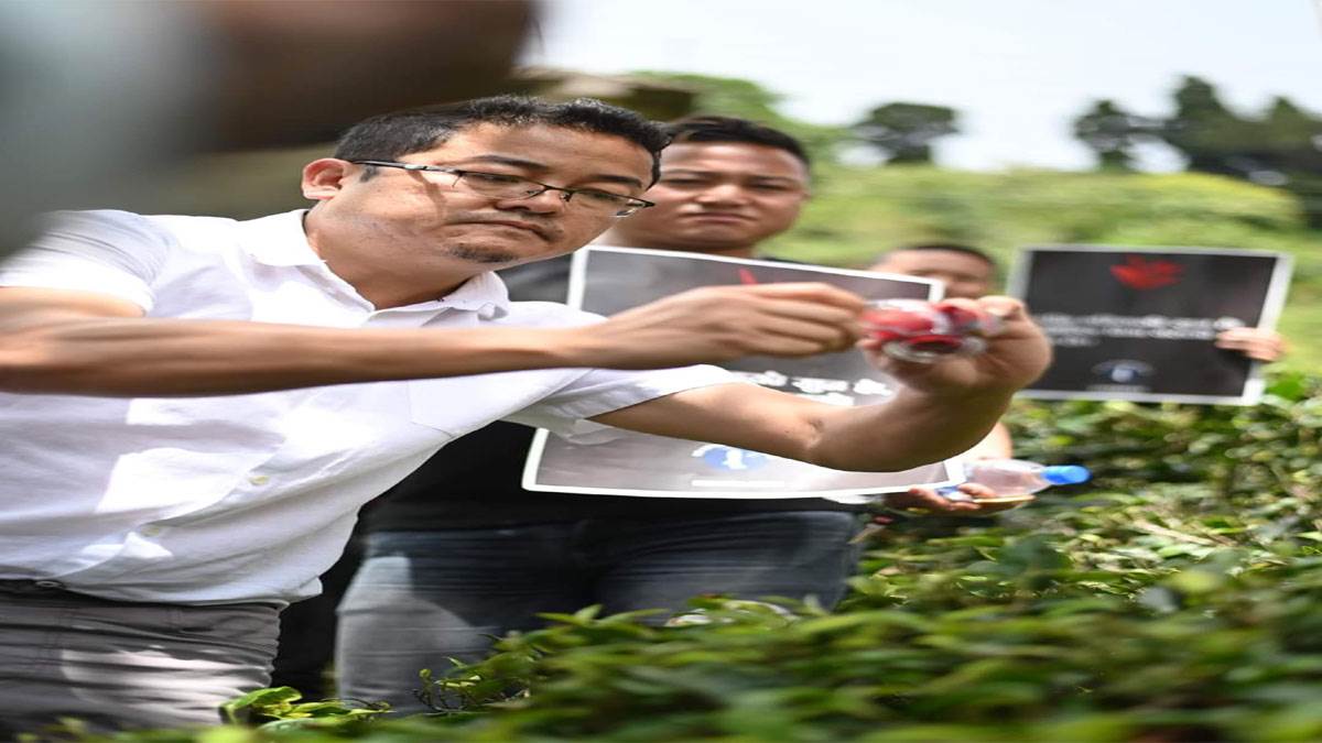 अजय एडवर्ड ने बंसल चाय बगान श्रमिकों पर अत्‍याचार के विरुद्ध अपना खून ...