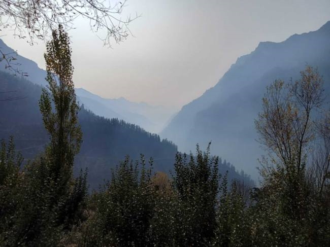 पांगी के जंगलों में आग, लाखों की संपदा राख - पांगी के जंगलों में आग ...