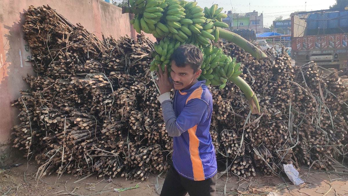 Chhath Puja 2022: धनबाद में कल शाम 5 बजकर 07 मिनट पर होगा सूर्यास्त ...