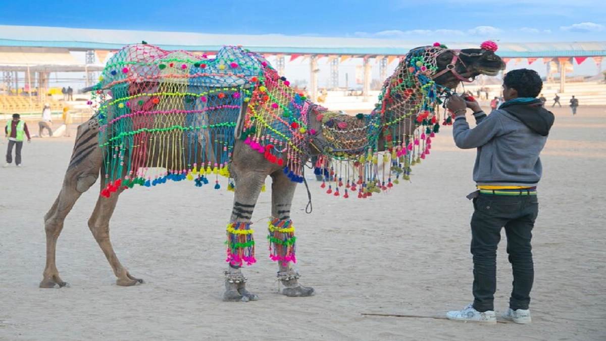Pushkar Fair: भारतीय संस्कृति से रूबरू होने के लिए देश की इन खूबसूरत ...