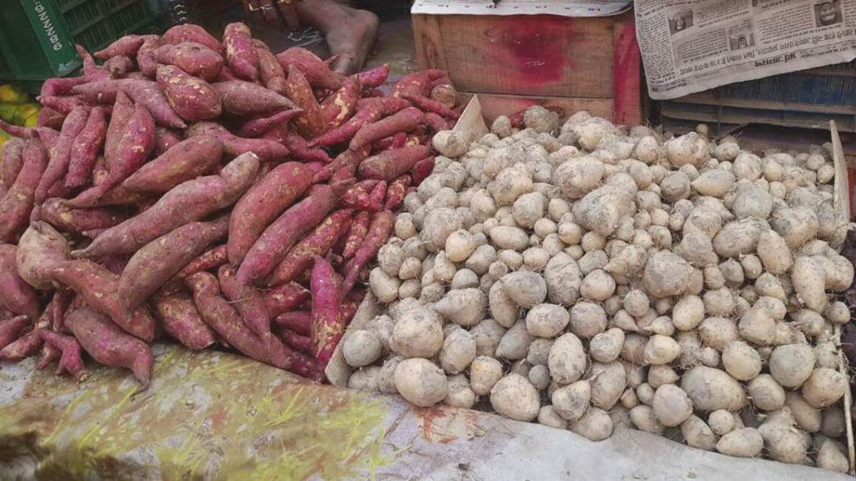 Chhath Puja 2022: छठ पर सुथनी के भाव से फल मंडी हैरान, पटना में दाम पूछ ...