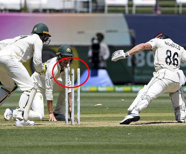 टिम पेन ने दिखाए धौनी वाले हाथ, बिजली की रफ्तार से स्टंपिंग करके जीता ...