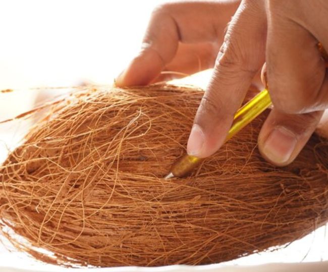 कचरा समझकर नहीं फेंकिए नारियल के छिलके, घर की सफाई से लेकर सजावट तक में ...