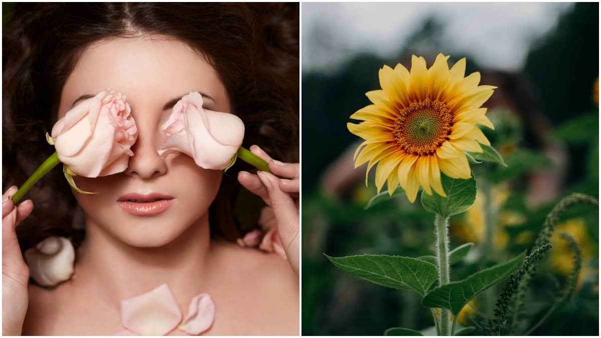 Flowers For Skin Hair: खूबसूरत स्किन के साथ बालों को मज़बूती देते हैं ...