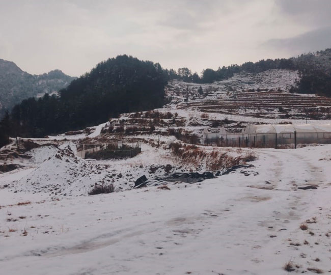 Snowfall In Uttarakhand: धनोल्‍टी, चकराता व चारधाम में ताजा बर्फबारी ...