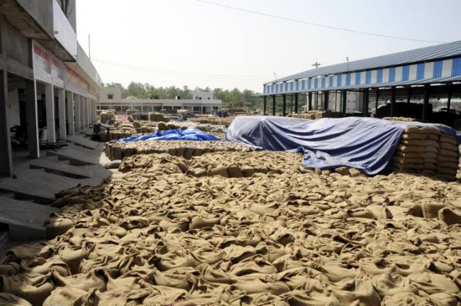 मंडी में गेहूं का उठान न बारदाना बोरियों से मंडी अटने से किसान-आढ़ती ...