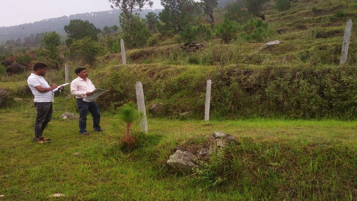 Uttarakhand News: हटाए गए बाहुबली डंपी की जमीन पर लगे पिलर, प्रशासन ने ...