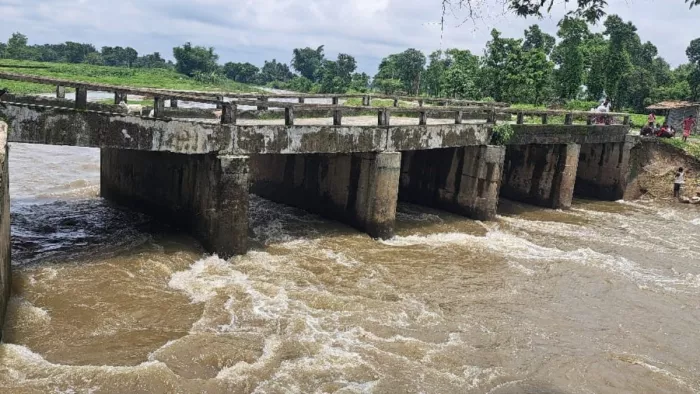 Bihar Bridge Collapse: बिहार में फिर धंसा पुल, इस जिले के हजारों लोग ...