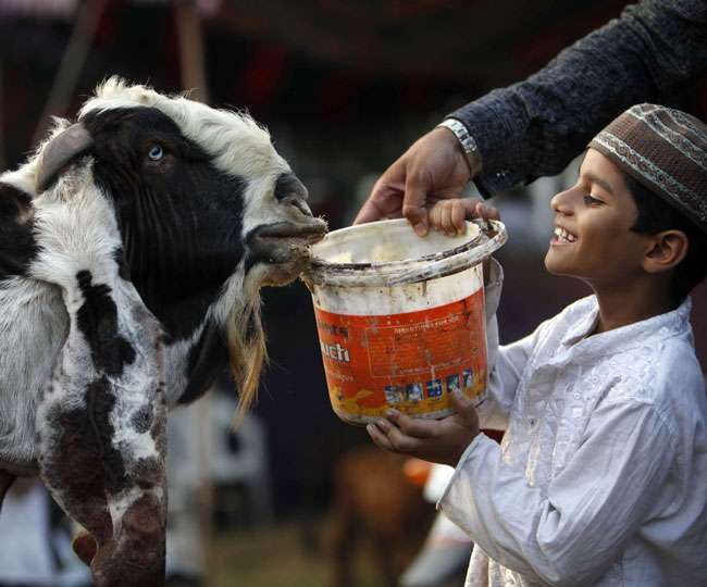 Bakrid 2020: बकरीद की कुर्बानी में छिपा है महत्वपूर्ण संदेश? जानें इस ...
