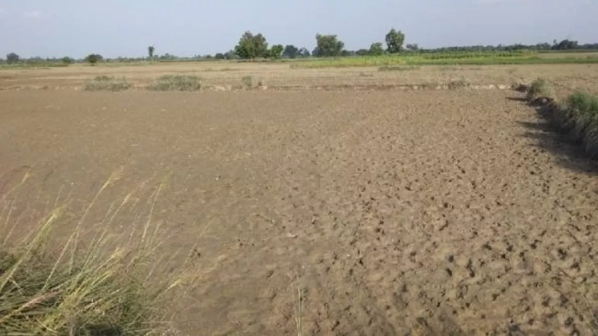 परती भूमि की पलटी काया, तीन मीटर तक बढ़ा भूगर्भ जलस्तर; प्रधानमंत्री ...