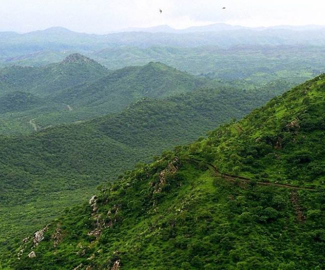 Aravalli Jungle Safari: अरावली पहाडि़यों विकसित होगा विश्व का सबसे बड़ा ...