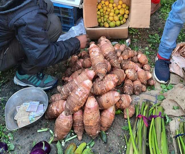 उत्तराखंड की औषधीय गुणों से भरपूर इस सब्जी का करें नियमित सेवन, बुढ़ापा ...