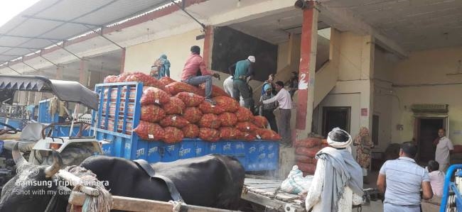 शीतगृह में रख सकेंगे दाल, फल और मसाले - Will be able to keep pulses ...