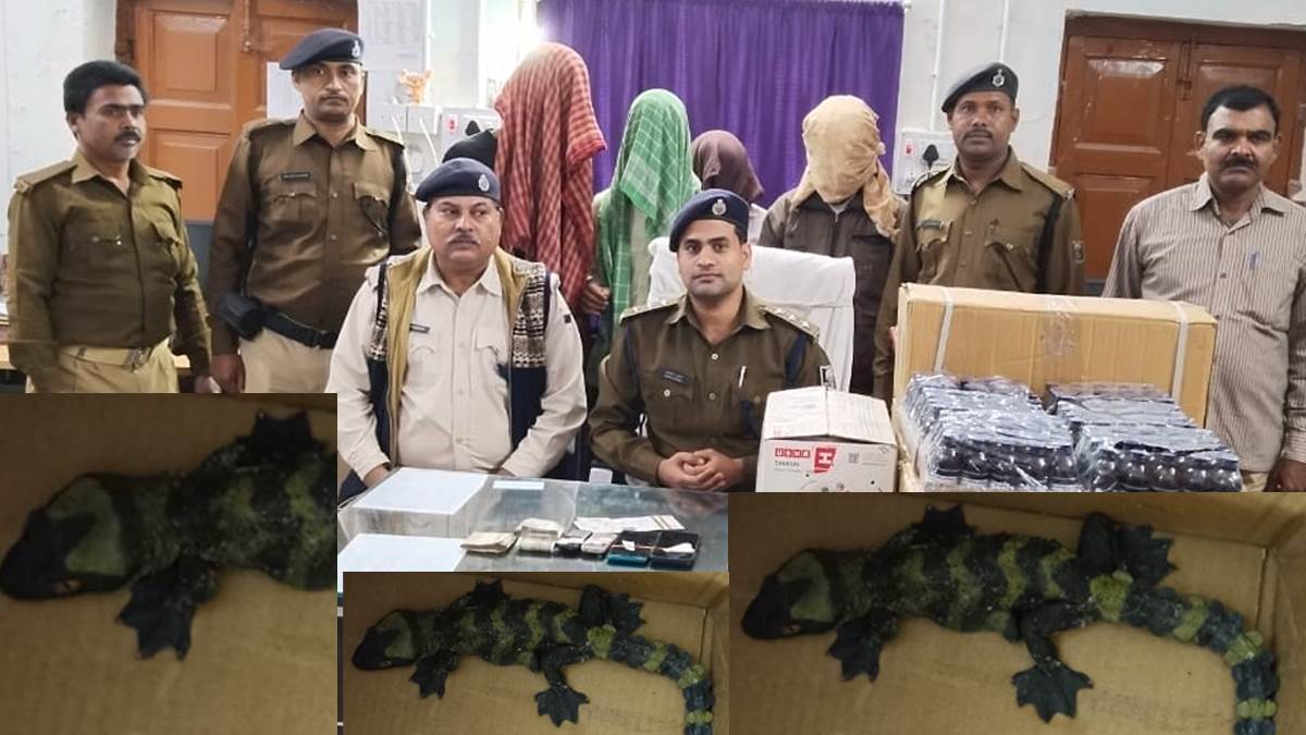पूर्णिया : दवा दुकान में काली छिपकली, कीमत करोड़ों में, साथ में कोरेक्स ...