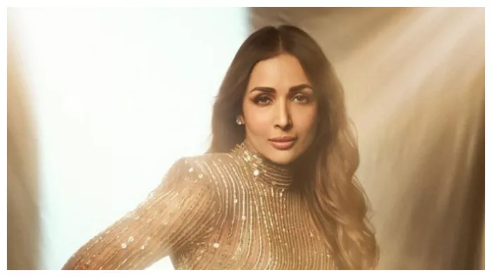Malaika Arora: अरबाज खान के बाद मलाइका अरोड़ा करेंगी शादी? 2024 में ...