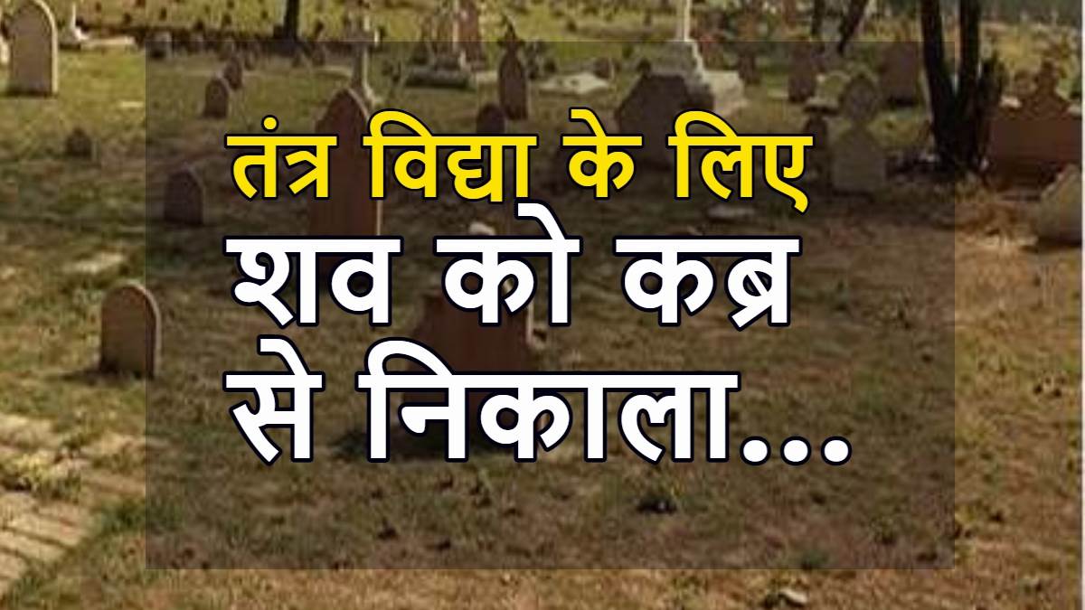 Sambhal: तीन दिन की बच्ची के शव को कब्र से निकाला, फिर पेड़ पर लटकाया ...