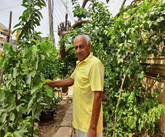 सिरसा में वन अधिकारी के पद से रिटायर्ड होने के बाद पेड़ पौधे लगाने का ...