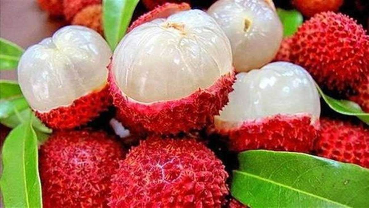 Benefits of Lichi: स्वाद के साथ गुणों से भरपूर है लीची, इसके ये 9 फायदे ...