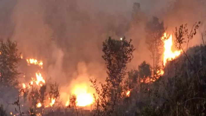 Uttarakhand Forest Fire: वरुणावत के जंगल में भड़की आग महिडांडा और ...