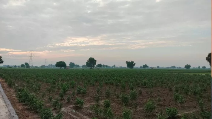 Haryana Weather Update: सूखे जुलाई की वर्षा से विदाई, पूरे प्रदेश में ...