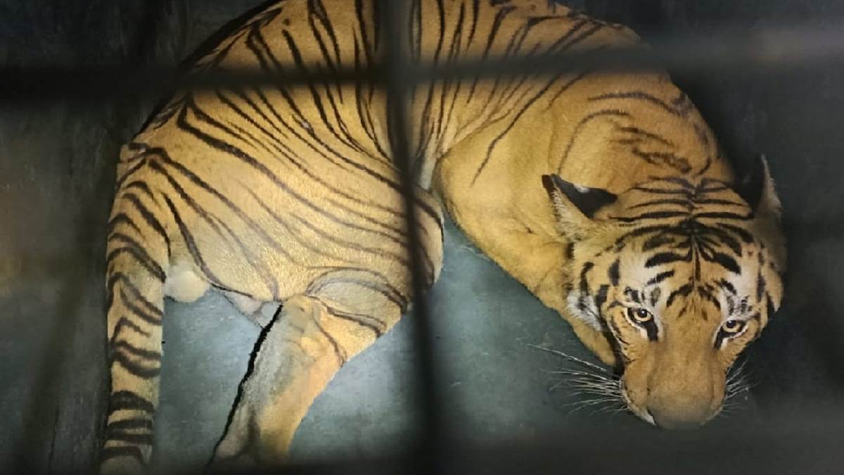 बदल रही जंगल की कहानी, उत्तराखंड के फतेहपुर रेंज में दस किमी की परिधि ...