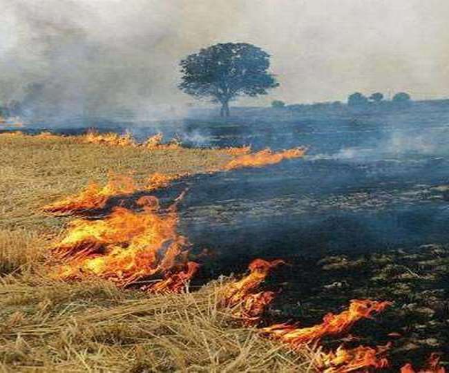 Stubble Burning In Punjab: पंजाब में दो दिन में ज्यादा जली पराली, बिगड़ ...